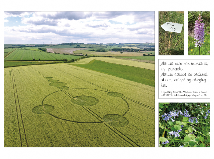 2025 Crop Circle Calendar | Lucy Pringle – Crop Circle Research UK