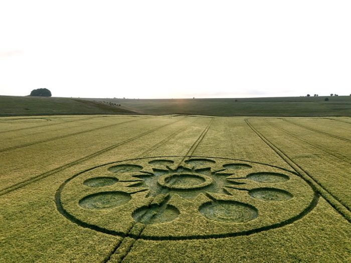 Crop Circles 2025 ~ June | Lucy Pringle – Crop Circle Research UK
